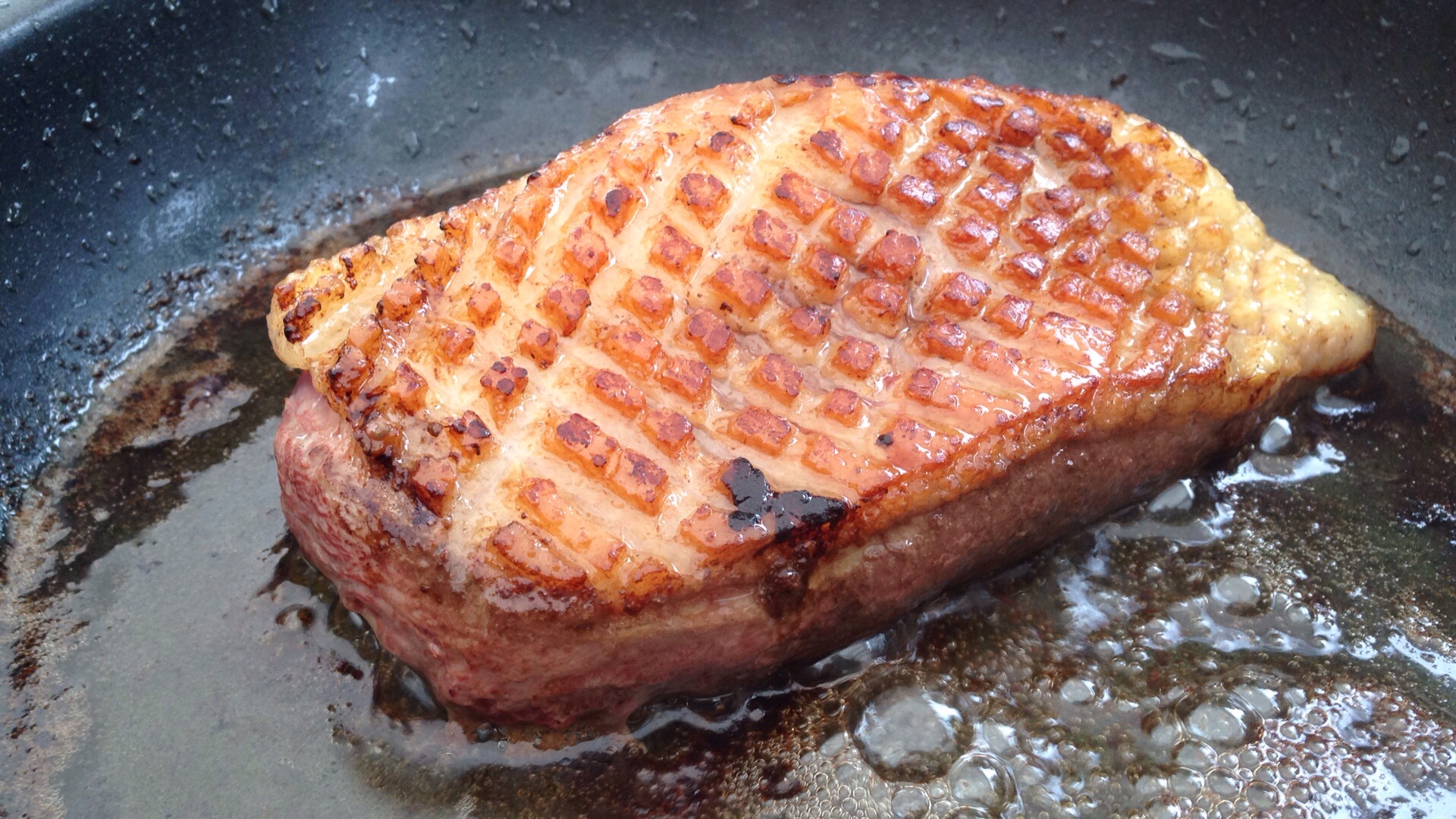 LE MAGRET DE CANARD DU PÉRIGORD : LA VIANDE SAVOUREUSE DE SAISON | Perigord